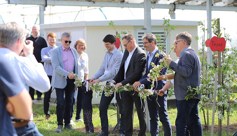 Press Release: Synergy Through Dual Land Use - Intech | Clean Energy